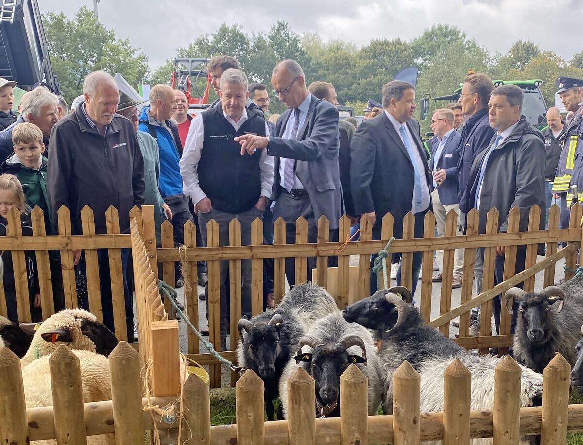 Bundeskanzler Friedrich Merz besucht Schafzüchter beim Reister Markt
